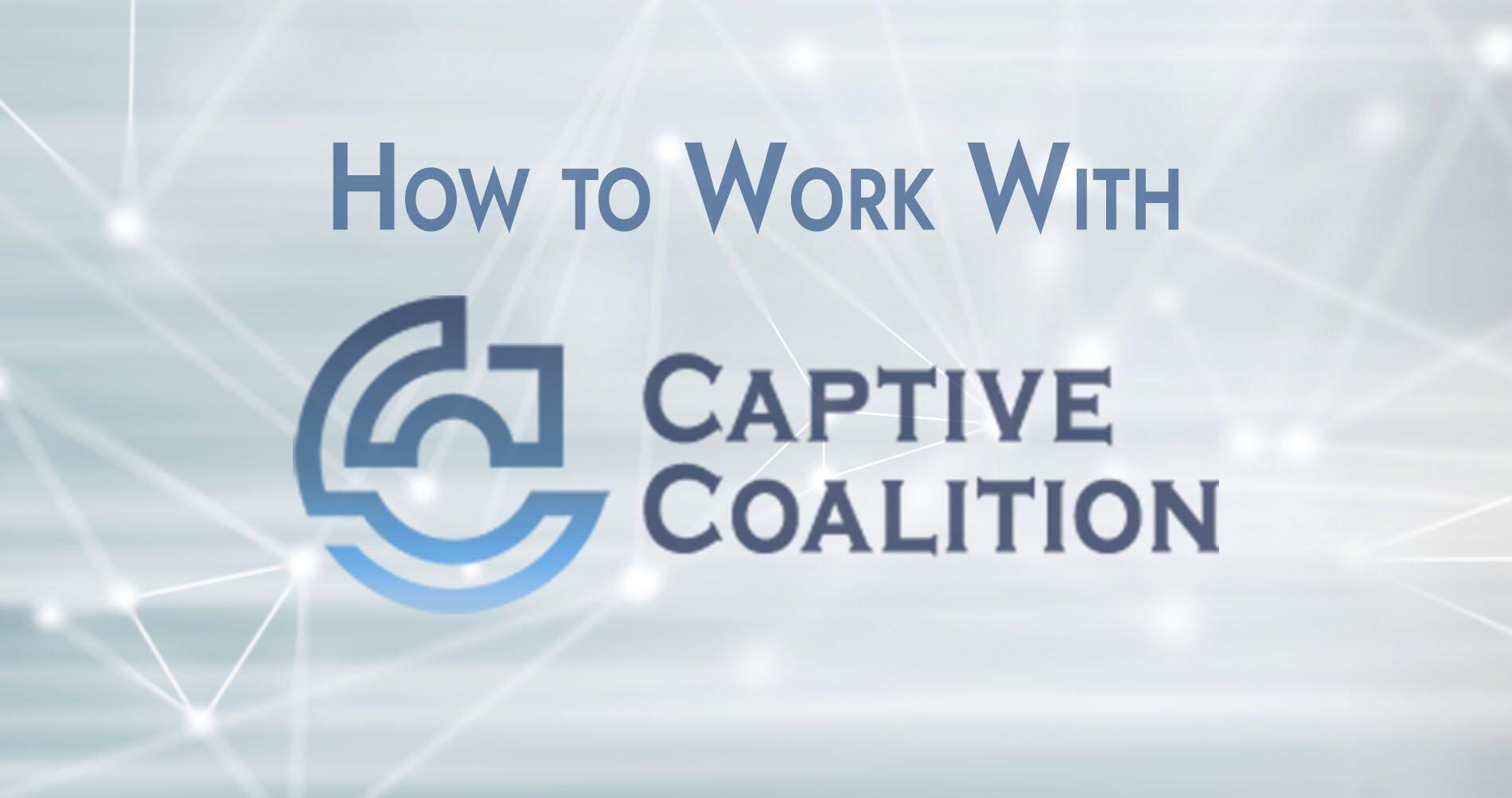 How To Work With Captive Coalition As An Independent Agent